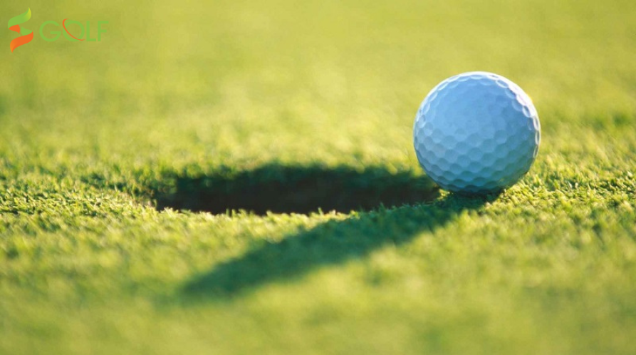 Bóng Golf và những điều thú vị không phải ai cũng biết